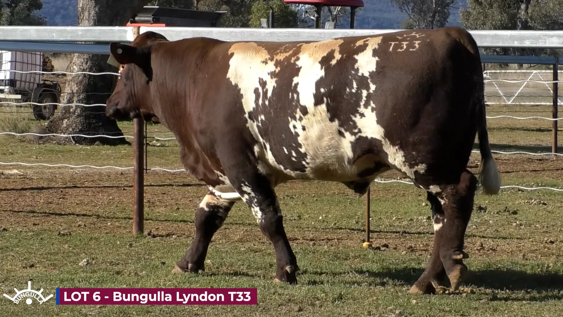 LOT 6 - Bungulla Lyndon T33 on Vimeo