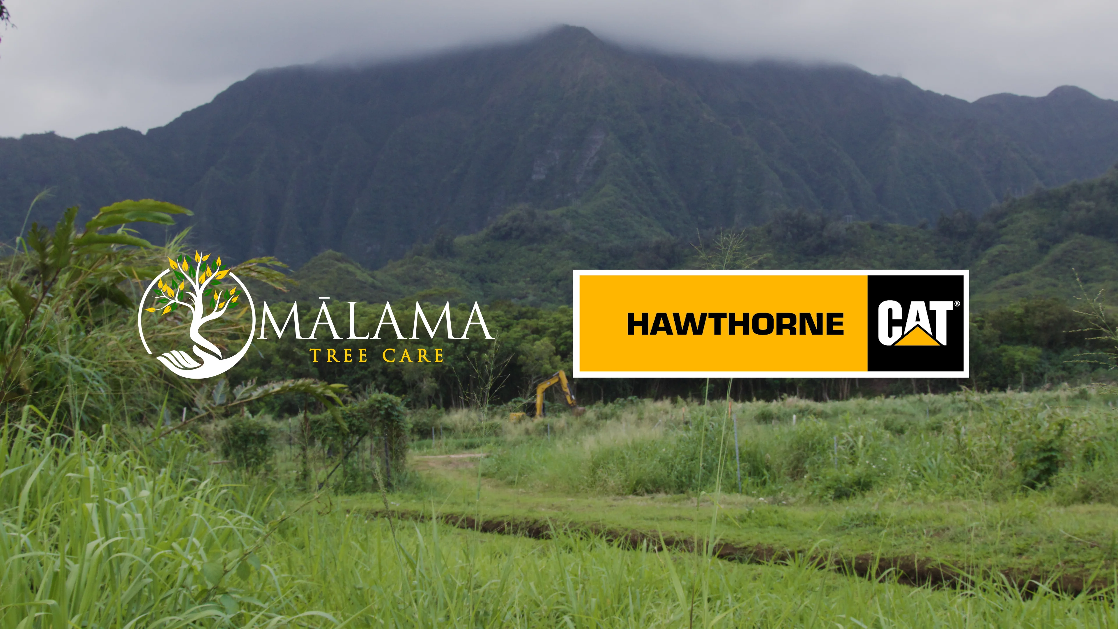 Malama Tree Care (4K) on Vimeo