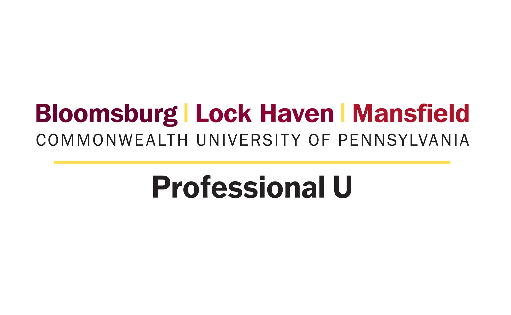 Professional U - 101