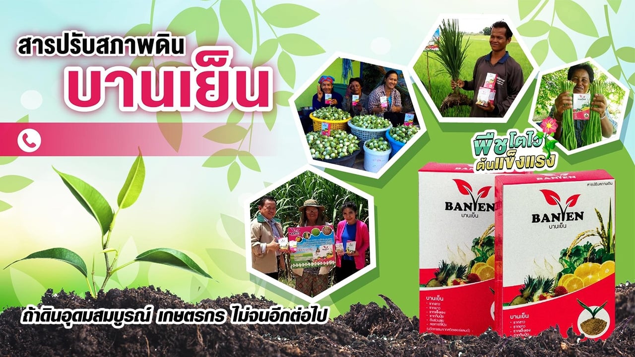 ผลิตภัณฑ์ ปรับสภาพดิน Banyen