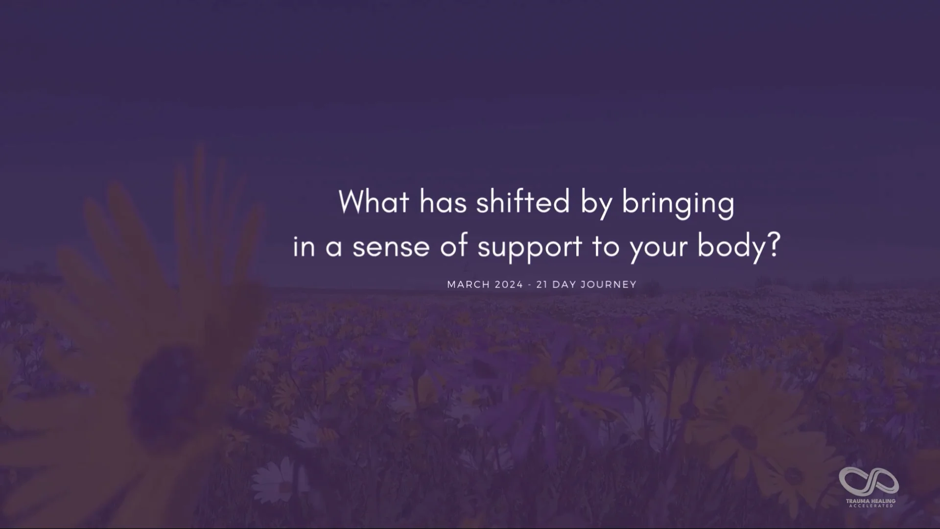 What has shifted by bringing in a sense of support to your body through ...