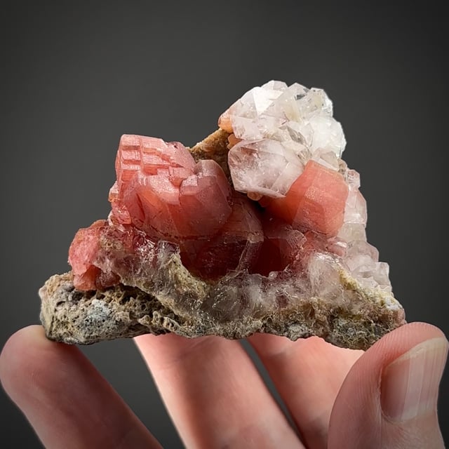 Rhodochrosite and Quartz - RC24-28 - Pasto Bueno - Peru Mineral Specimen