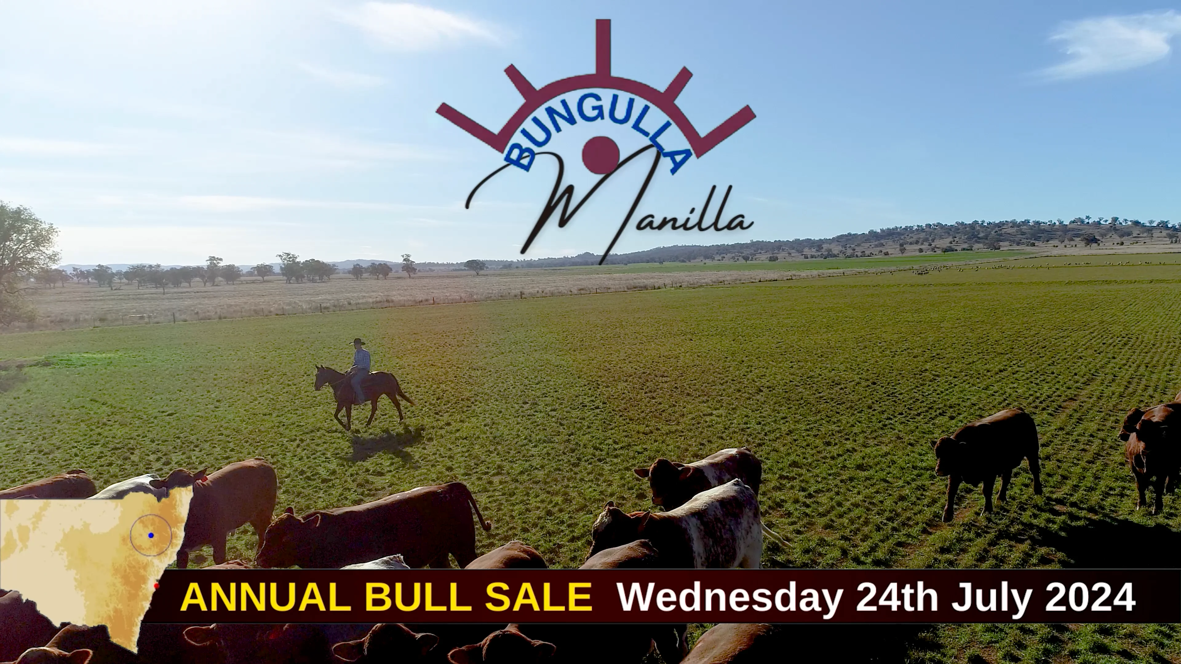 Bungulla Shorthorn Bull Sale Preview 2024 on Vimeo