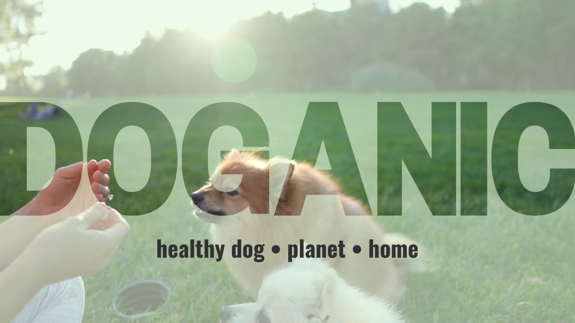 Shop for Organic Dog Treats with Biodegradable Packaging