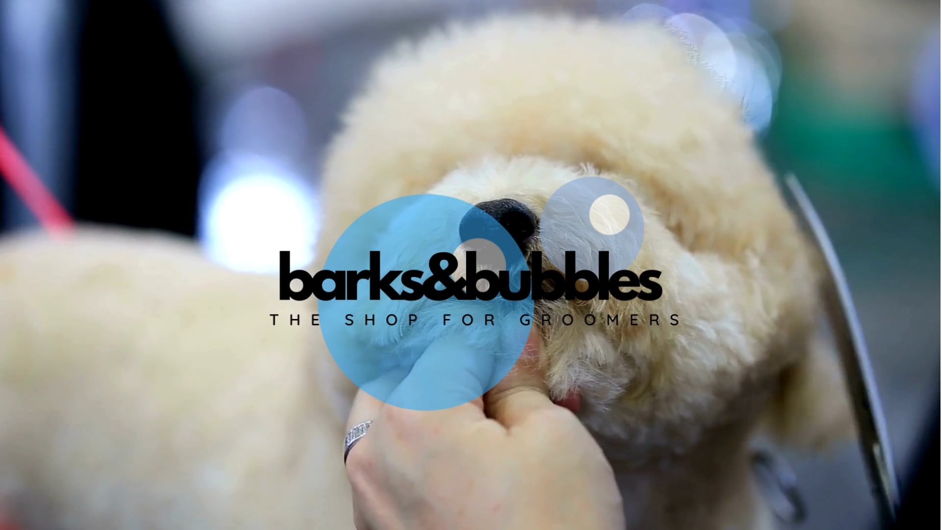 Barks & bubbles Shop