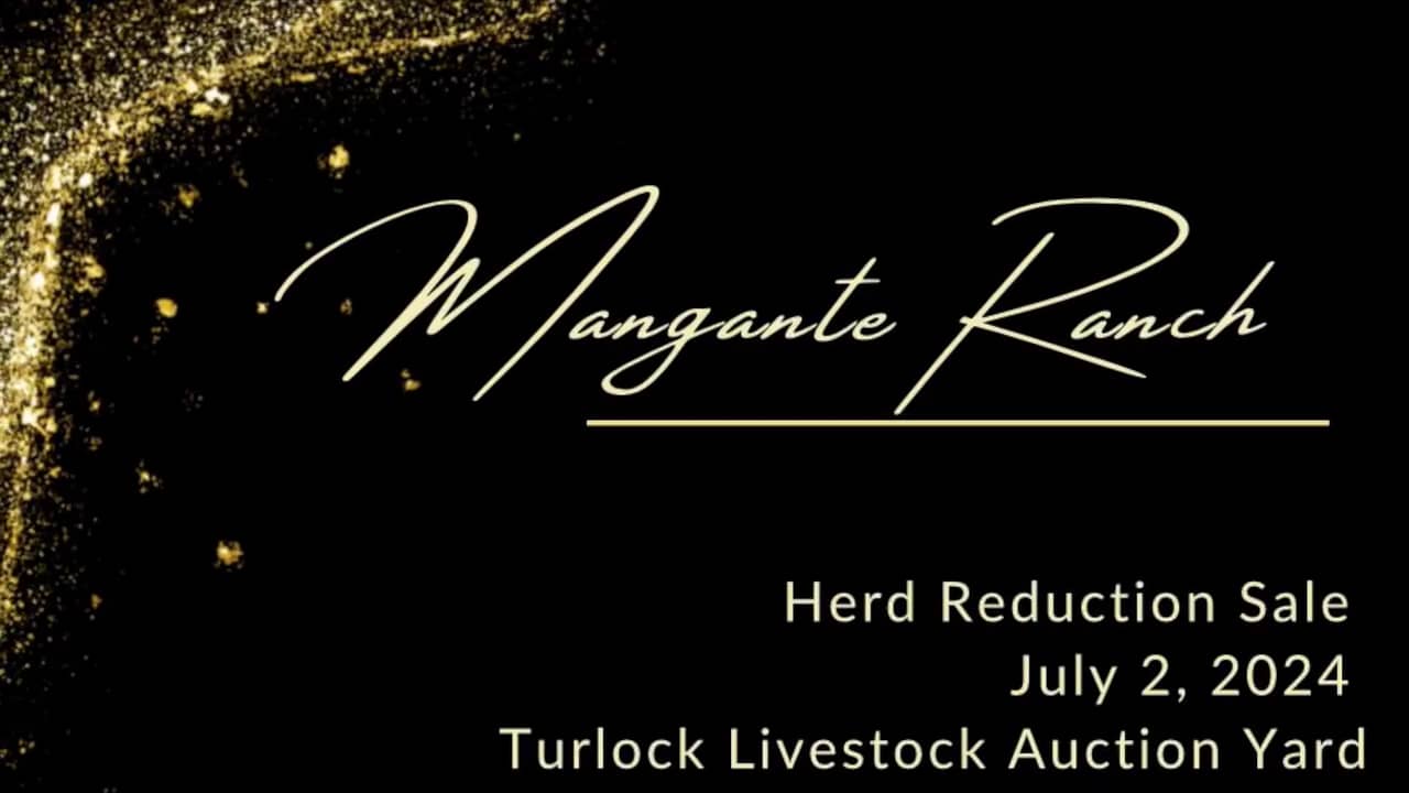 MANGANTE RANCH - HERD REDUCTION 7/2/24 on Vimeo