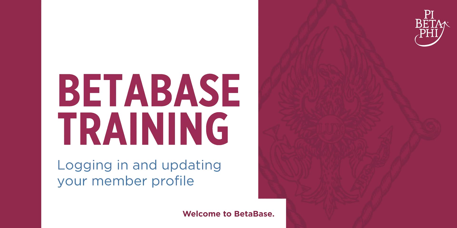 BetaBase Member Profile Training Video on Vimeo