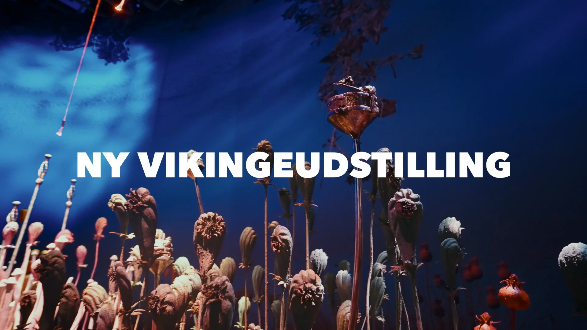 Nationalmuseet - Vølvens Varsel - Udstillingstrailer - 16x9, 15 sek. DK