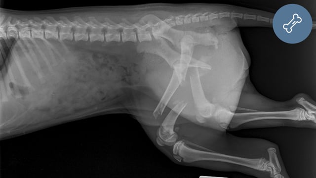 Centralcpd on-demand