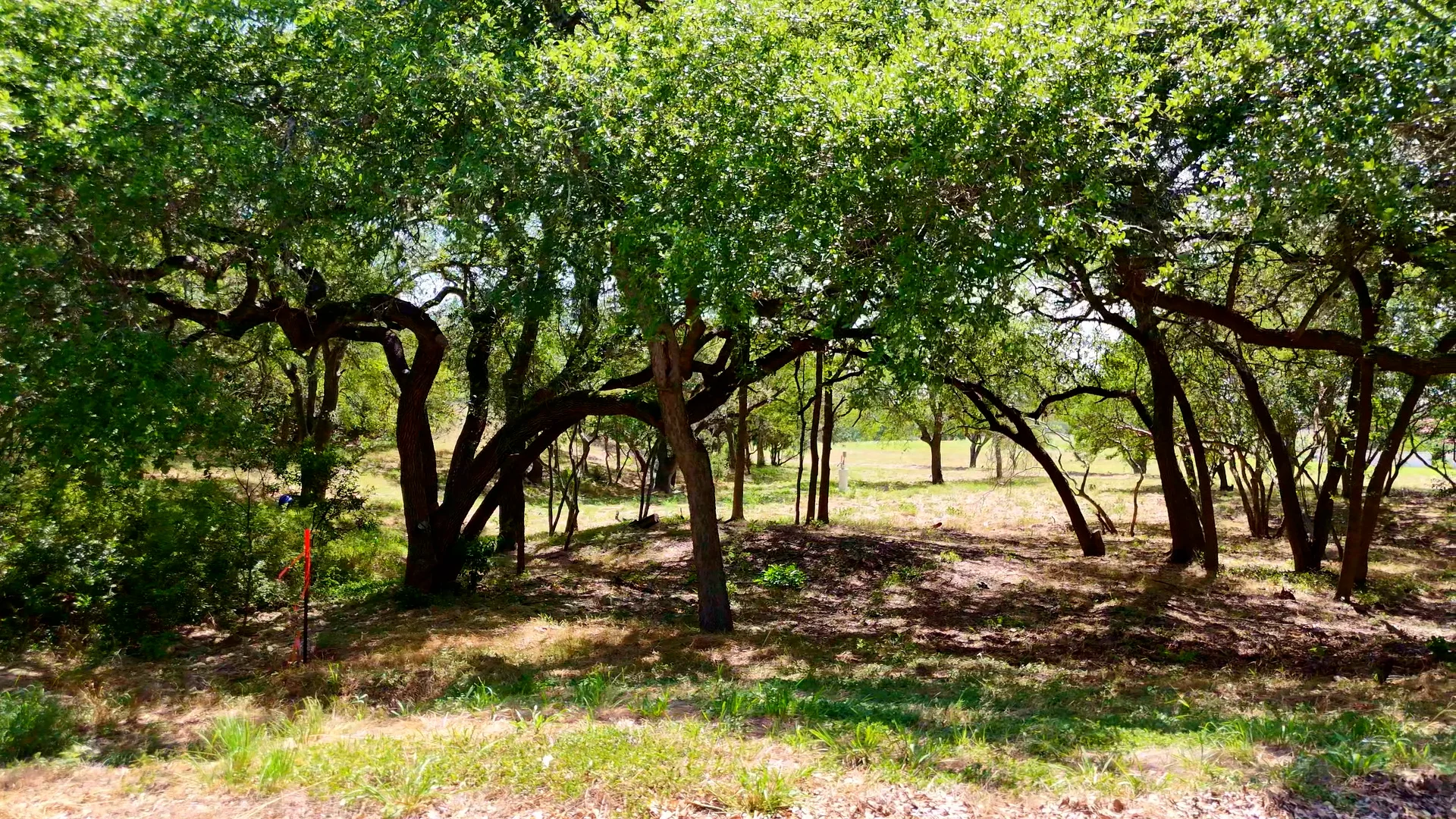 420 Blanco River Ranch, San Marcos TX 78666