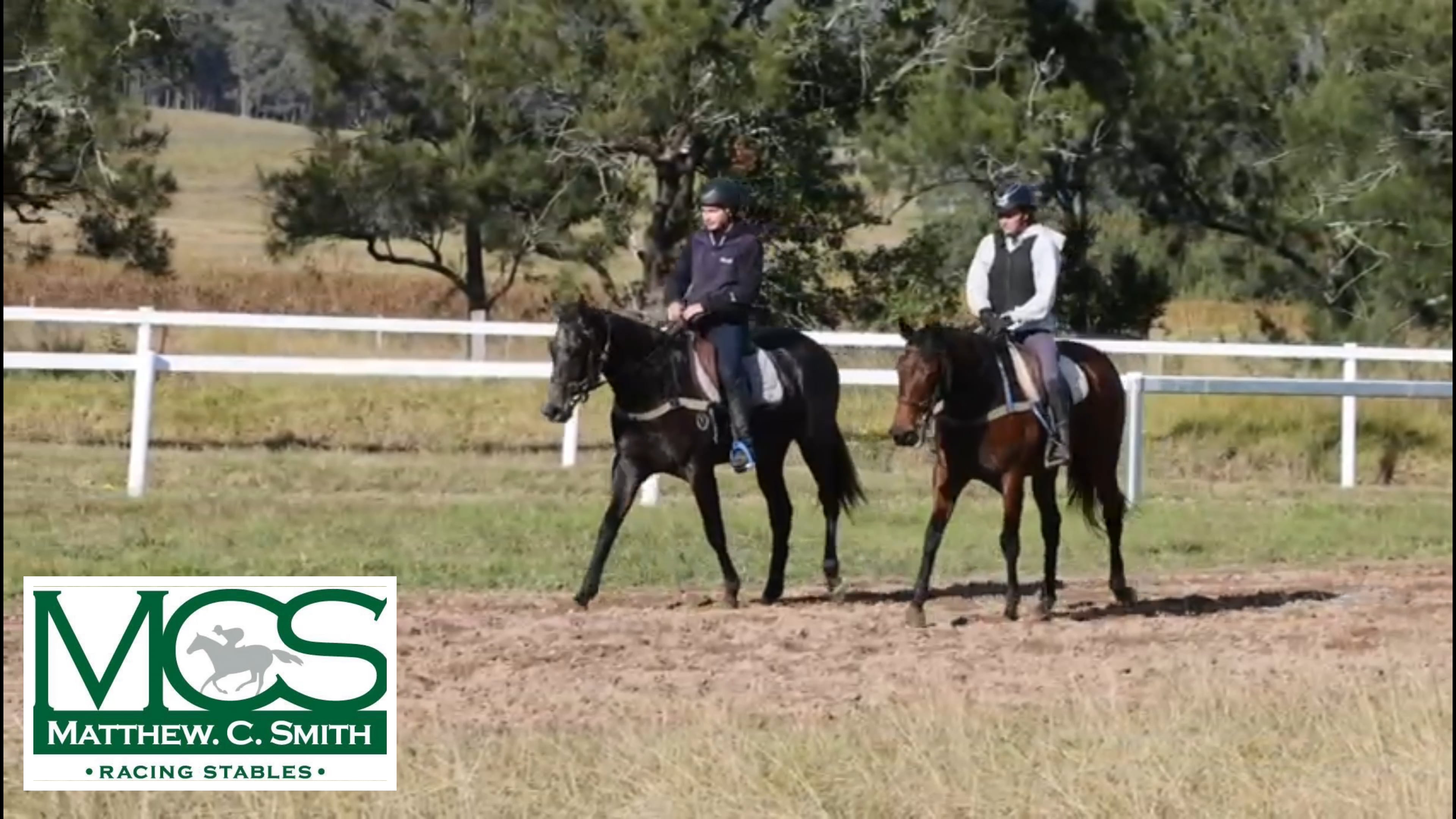 Harry Angel x Studio City Filly | Videos & Movies on Vimeo