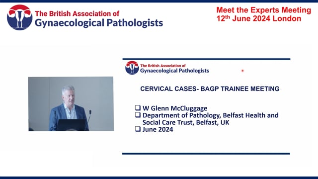 2024 – Meet the Experts Meeting – The British Association of ...