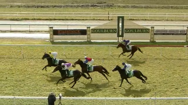 Sidestep - Stallion | Breednet