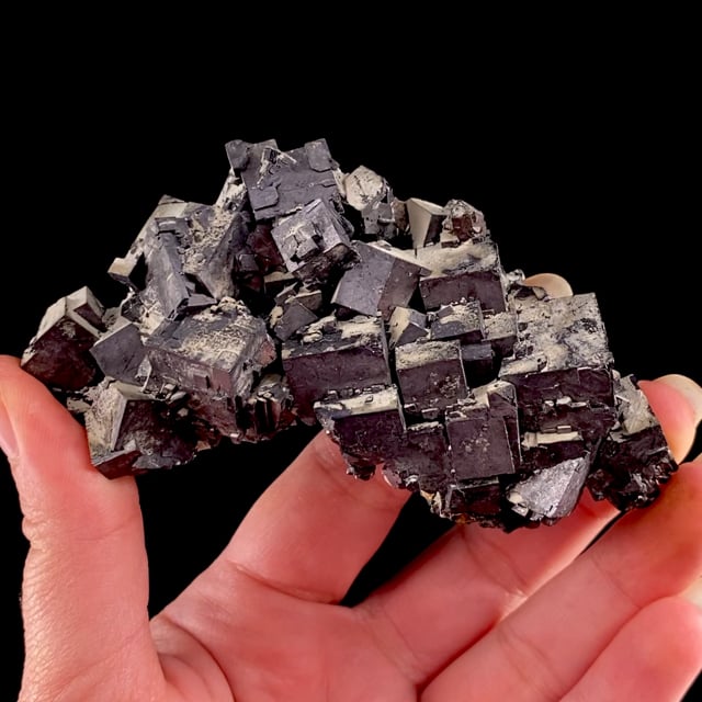 Galena | Commodore Mine, Amethyst vein, Creede District, Mineral Co ...