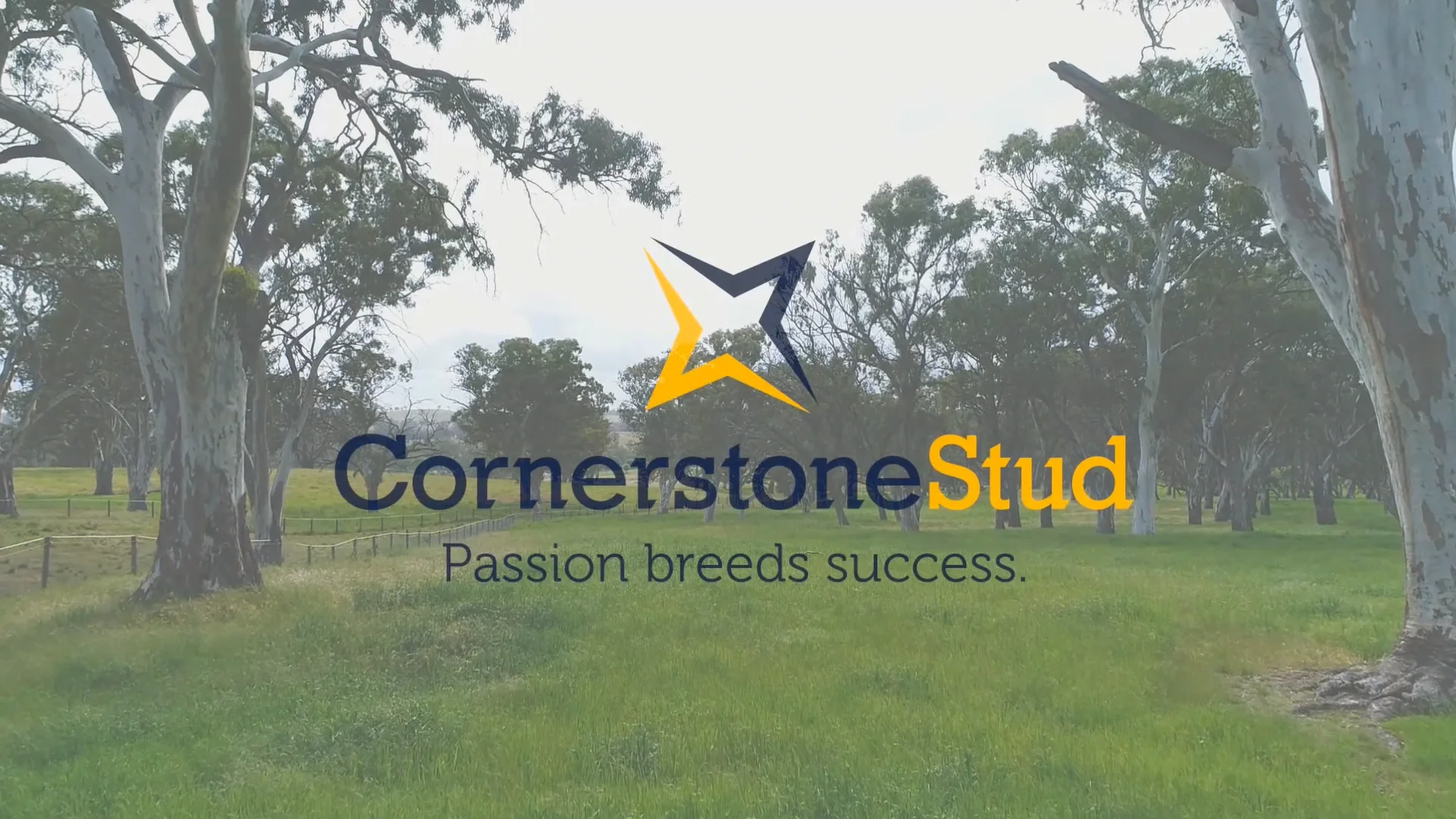 Pure Scot 23 on Vimeo