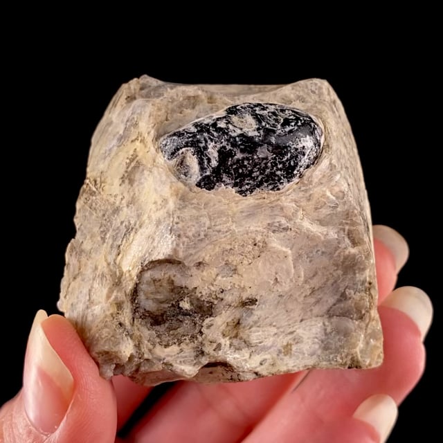 Obsidian (''Apache Tear'') (rare matrix specimen) | Picketpost Mountain ...