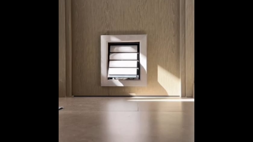 Tochtvrij, veilig en stil kattenluik met installatieservice