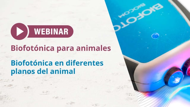 BIOFOTÓNICA Y ANIMALES on Vimeo
