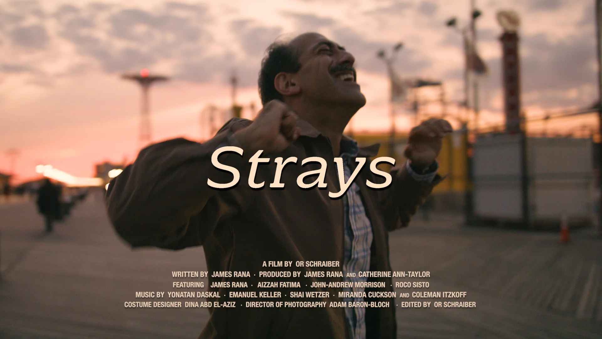 Strays || Trailer