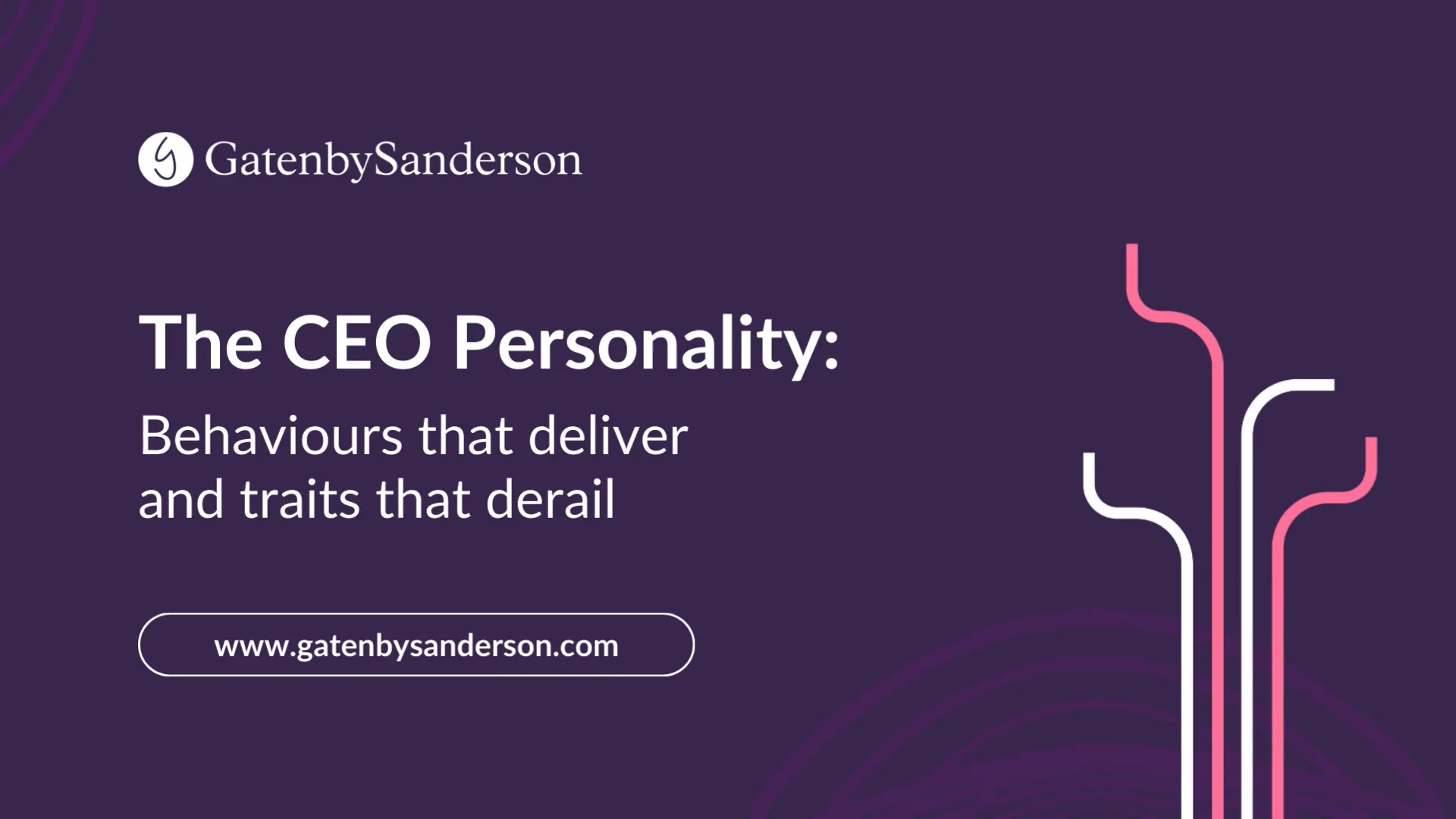The Public Sector CEO Personality - Webinar