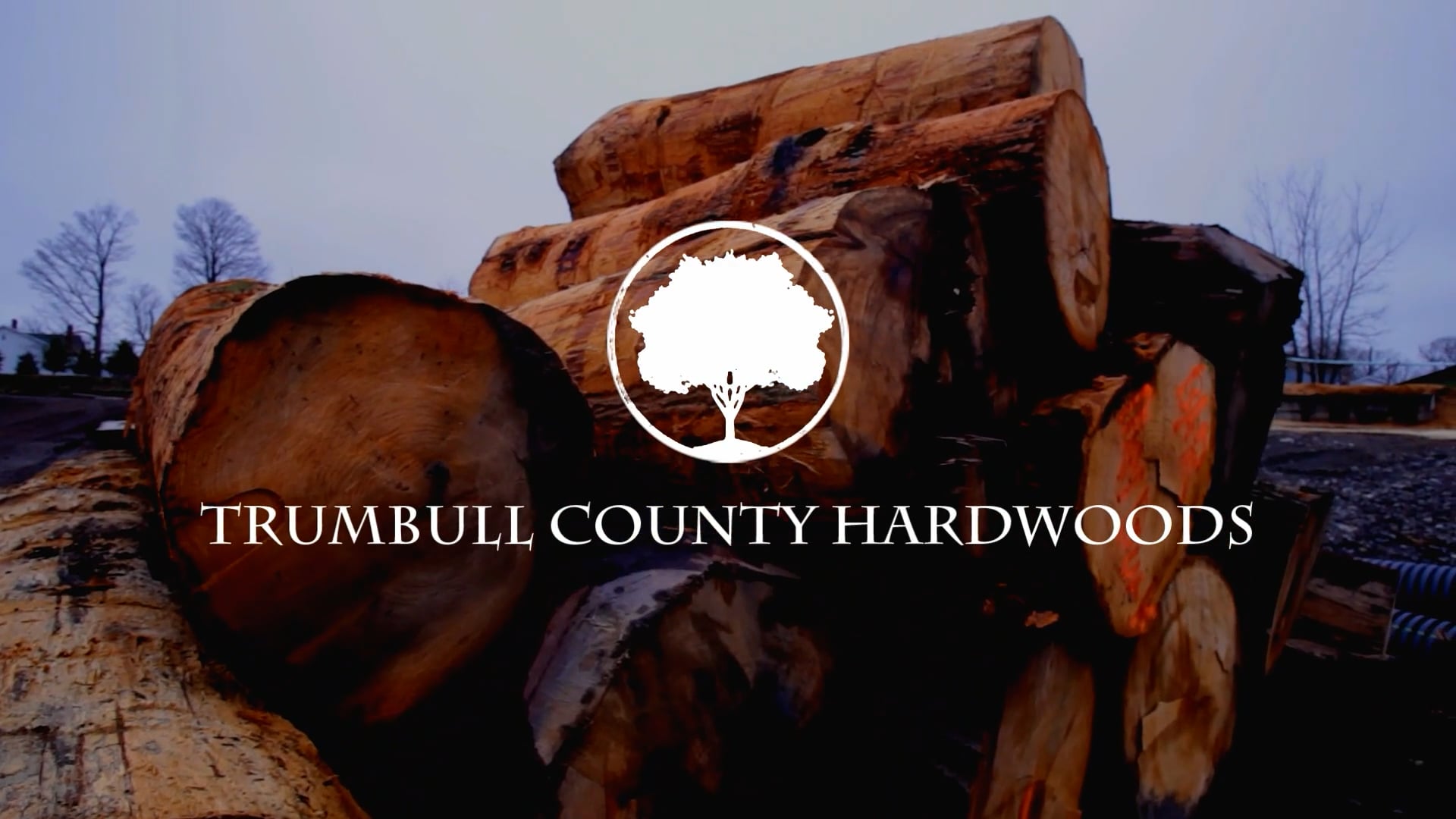 Trumbull County Hardwoods, Ltd. - Timber Buyer, Logging Company, Live ...
