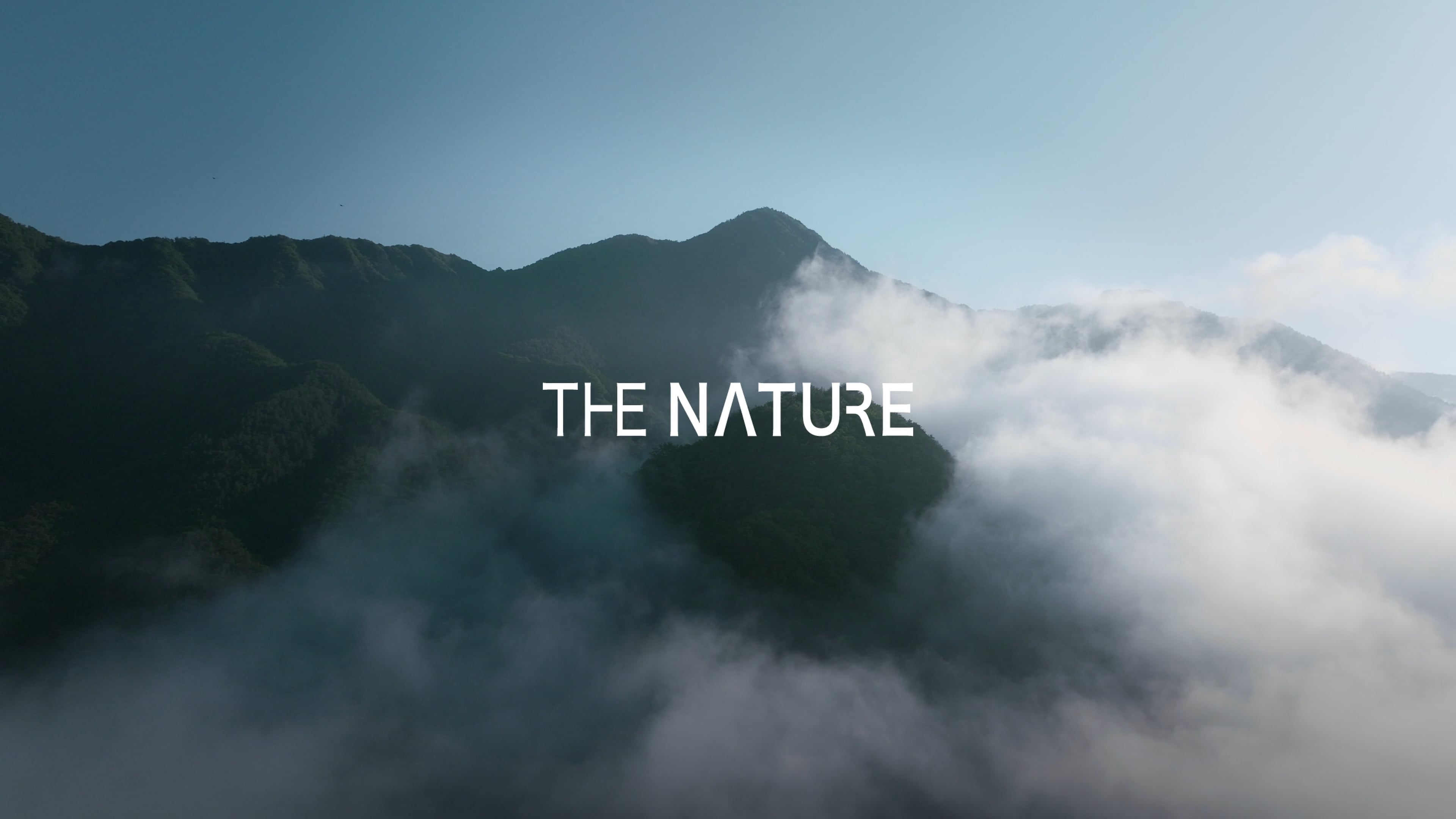 THE NATURE | Introduction