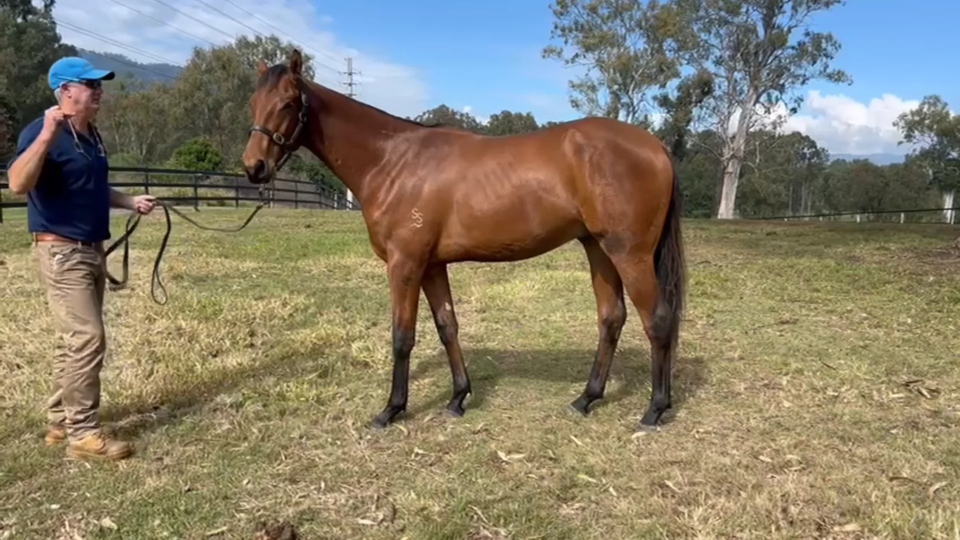 Sylpheed x Farnan on Vimeo