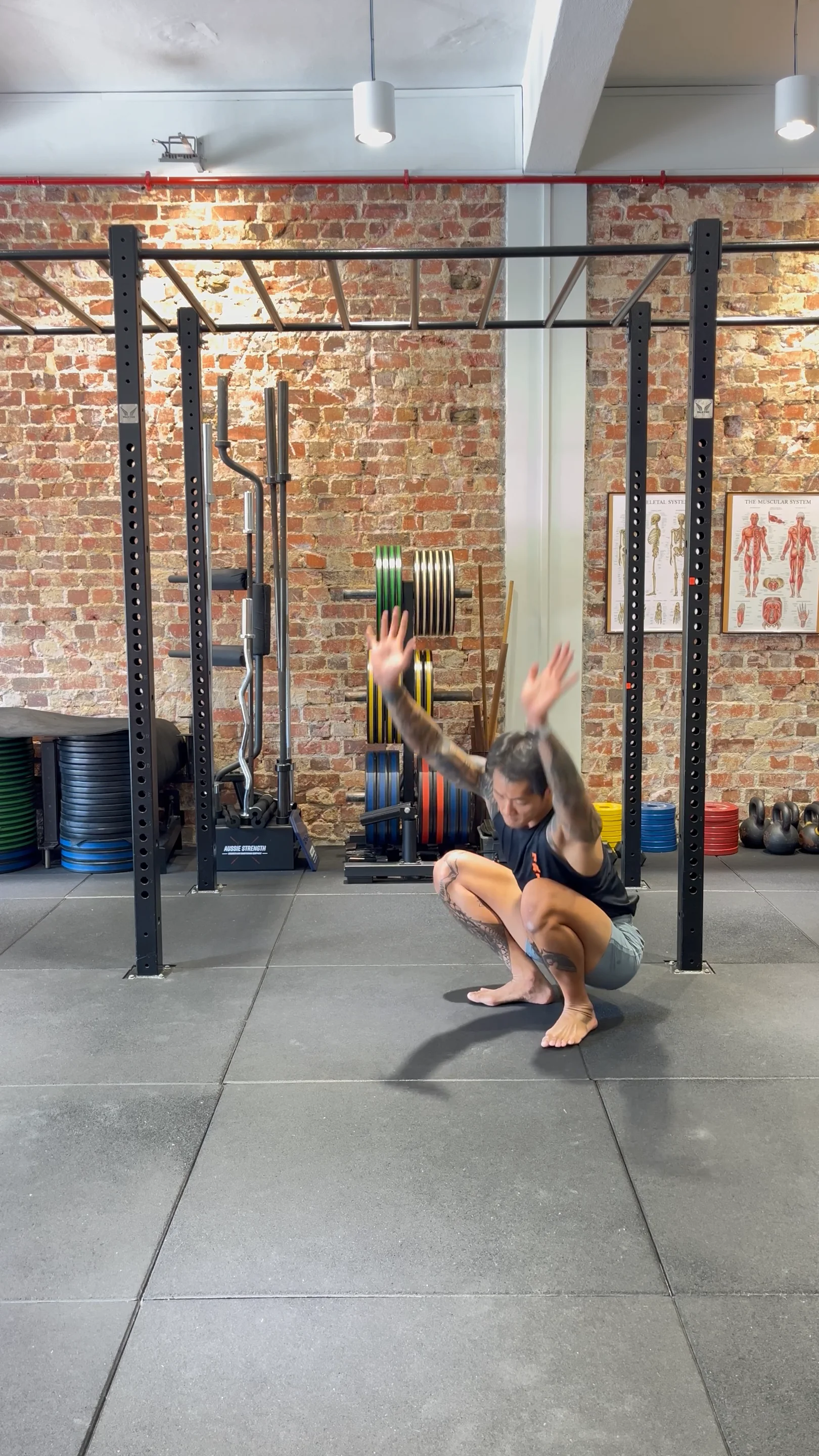 Lateral Monkey to Side Kick Through