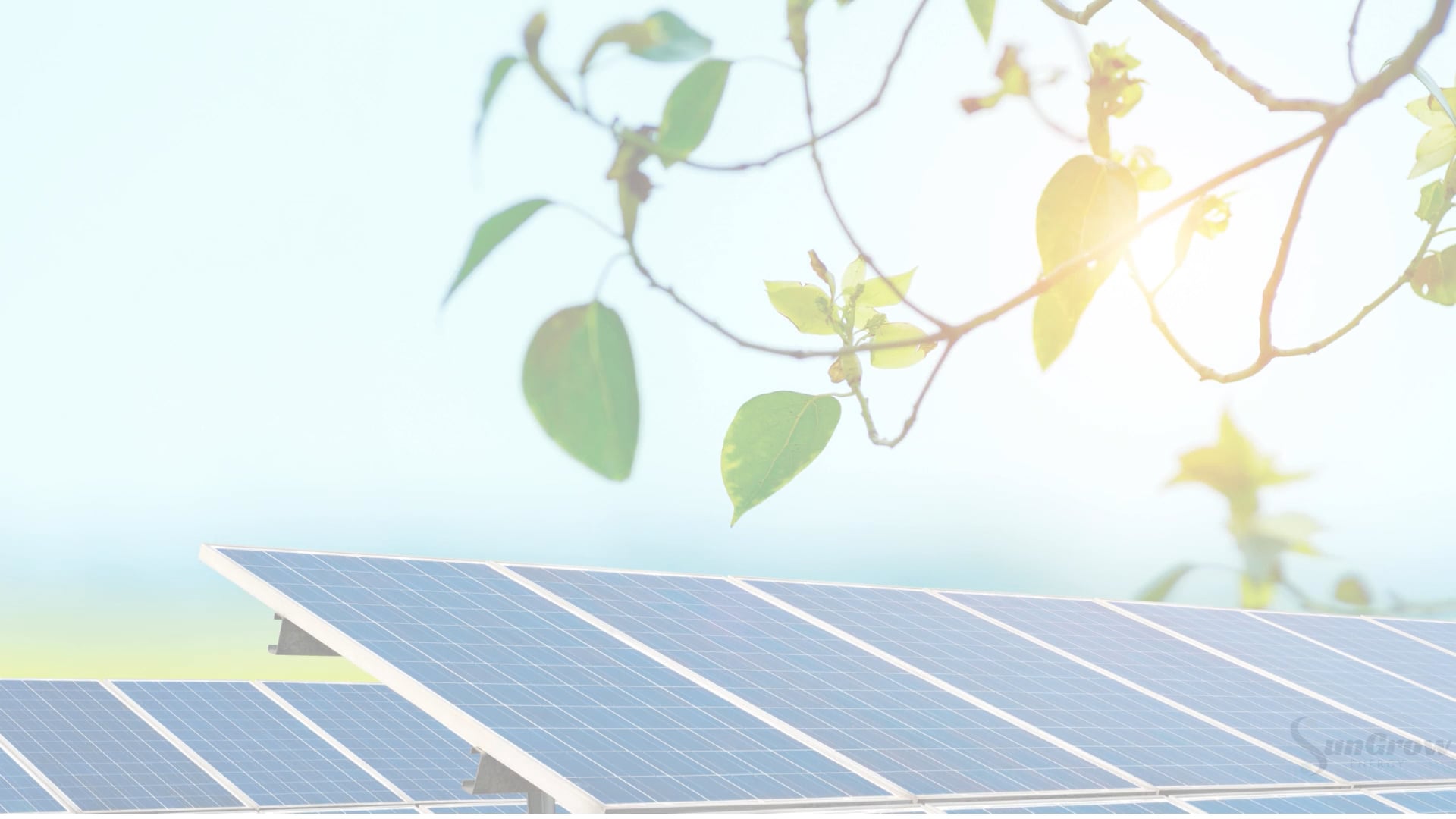 Key Solar Power Facts & Insights – Sungrow Energy Corp