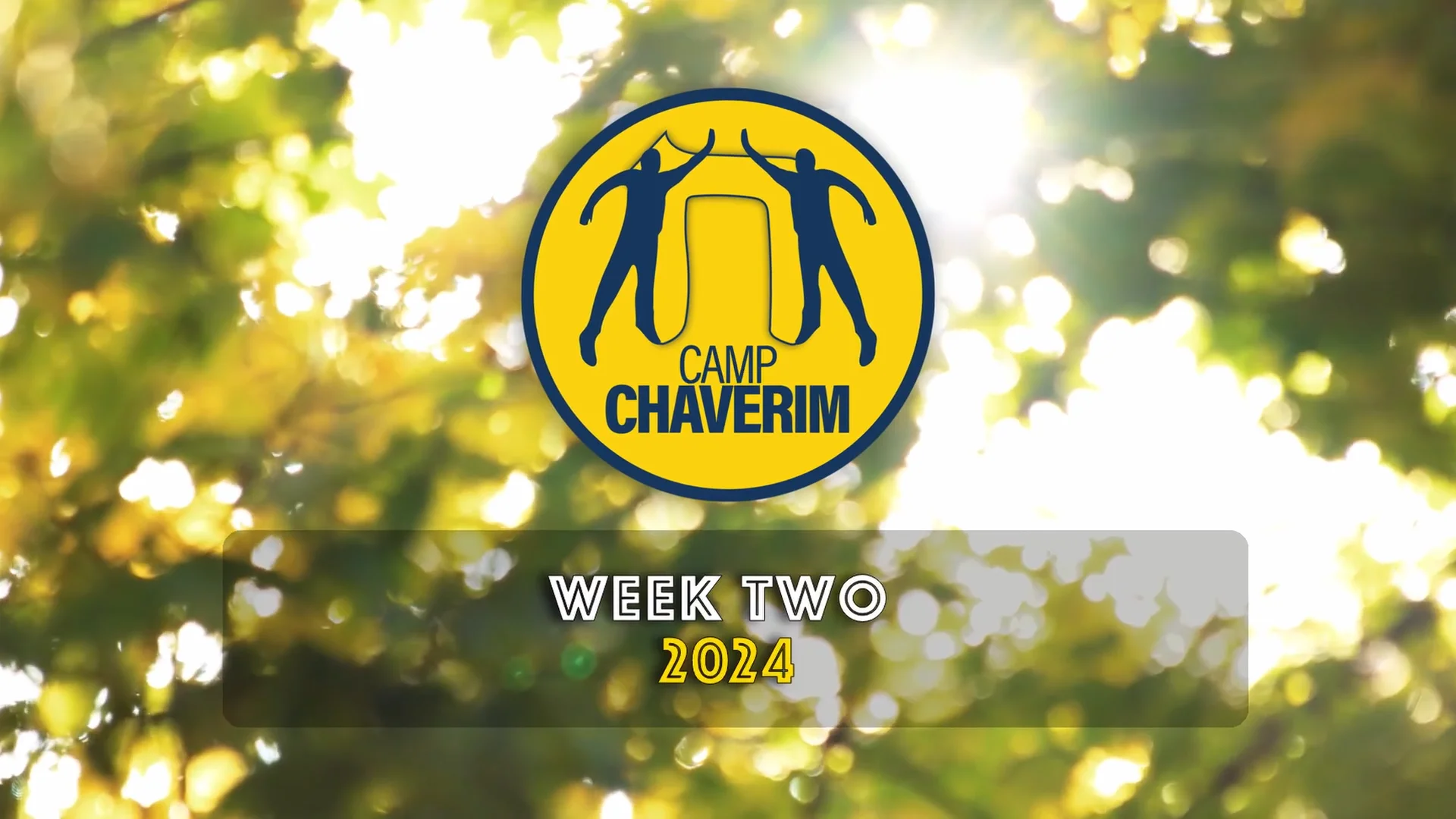 Camp Chaverim 2024 - Week 02