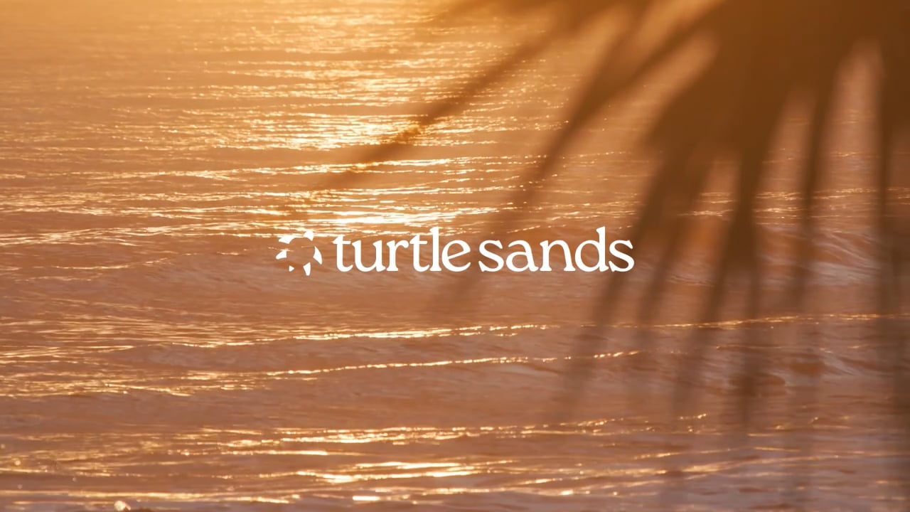 Turtle Sands Build Update