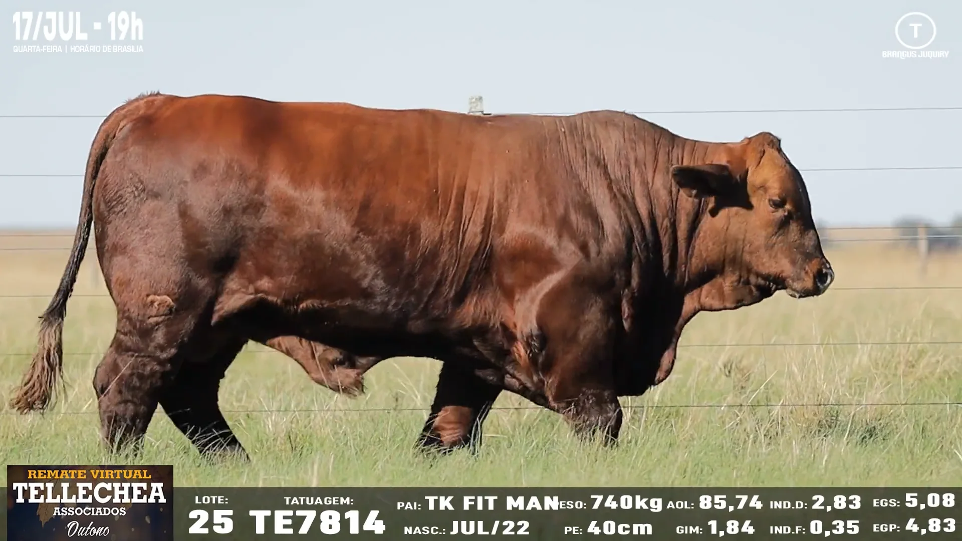 LOTE 25- TE-7814 on Vimeo