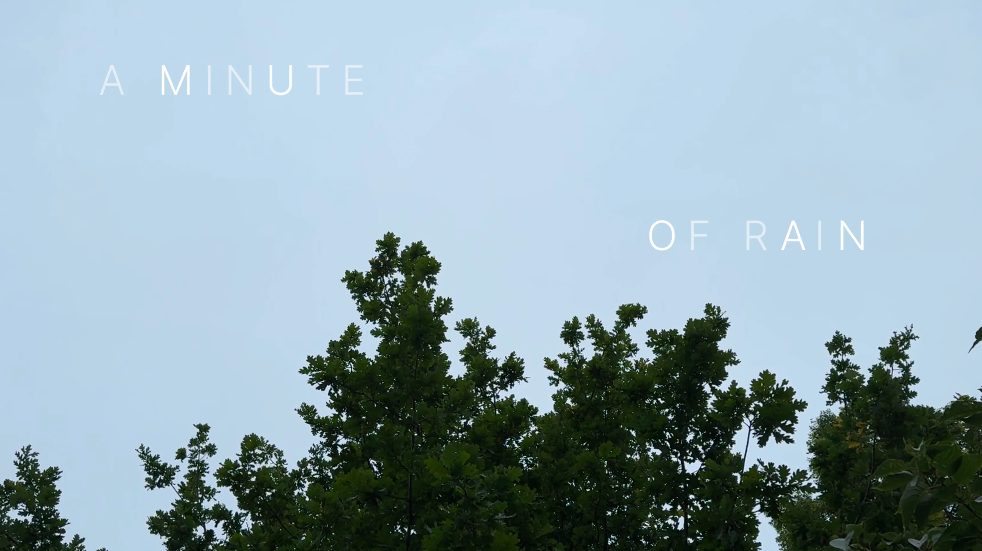 A Minute of Rain on Vimeo
