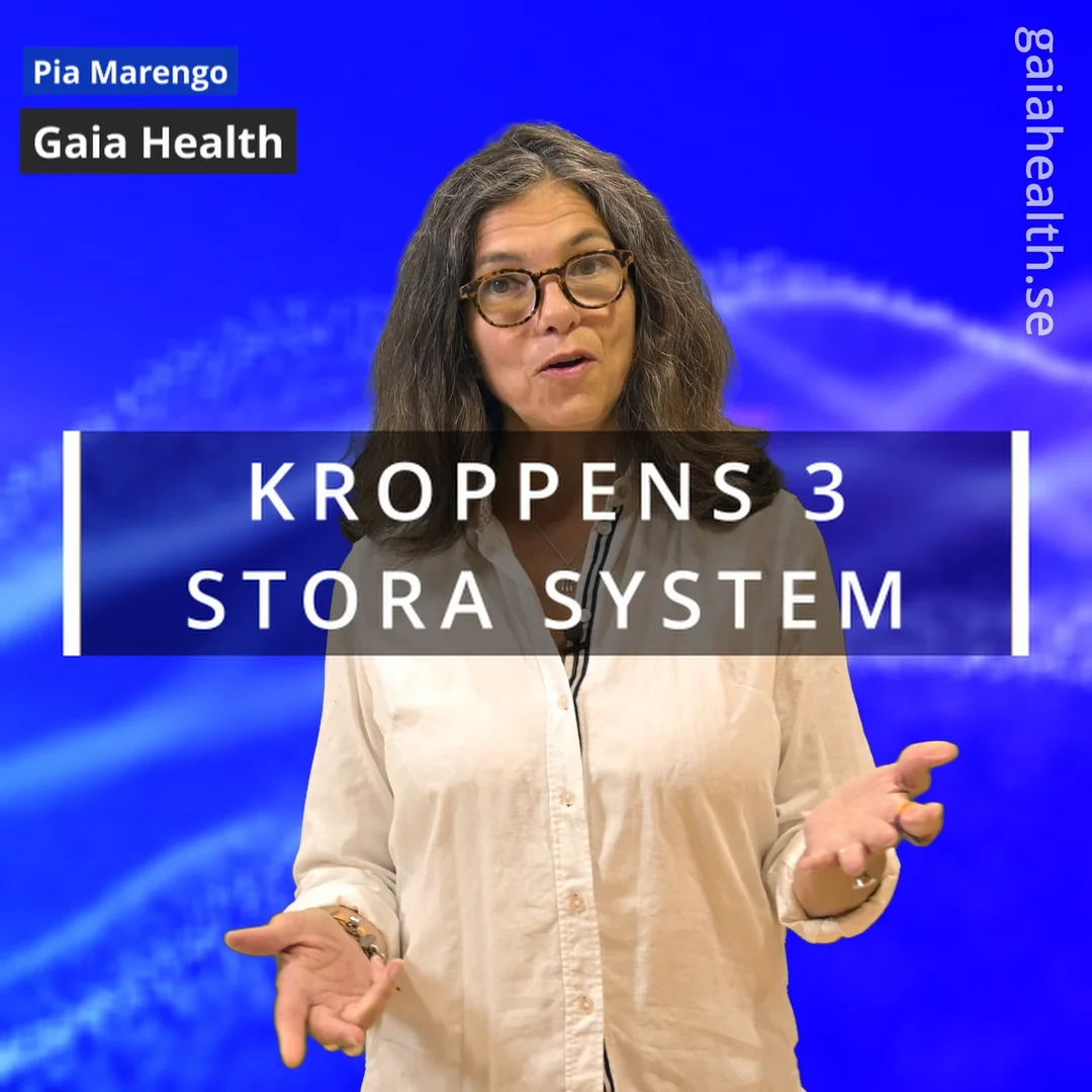 Kroppens tre stora system on Vimeo