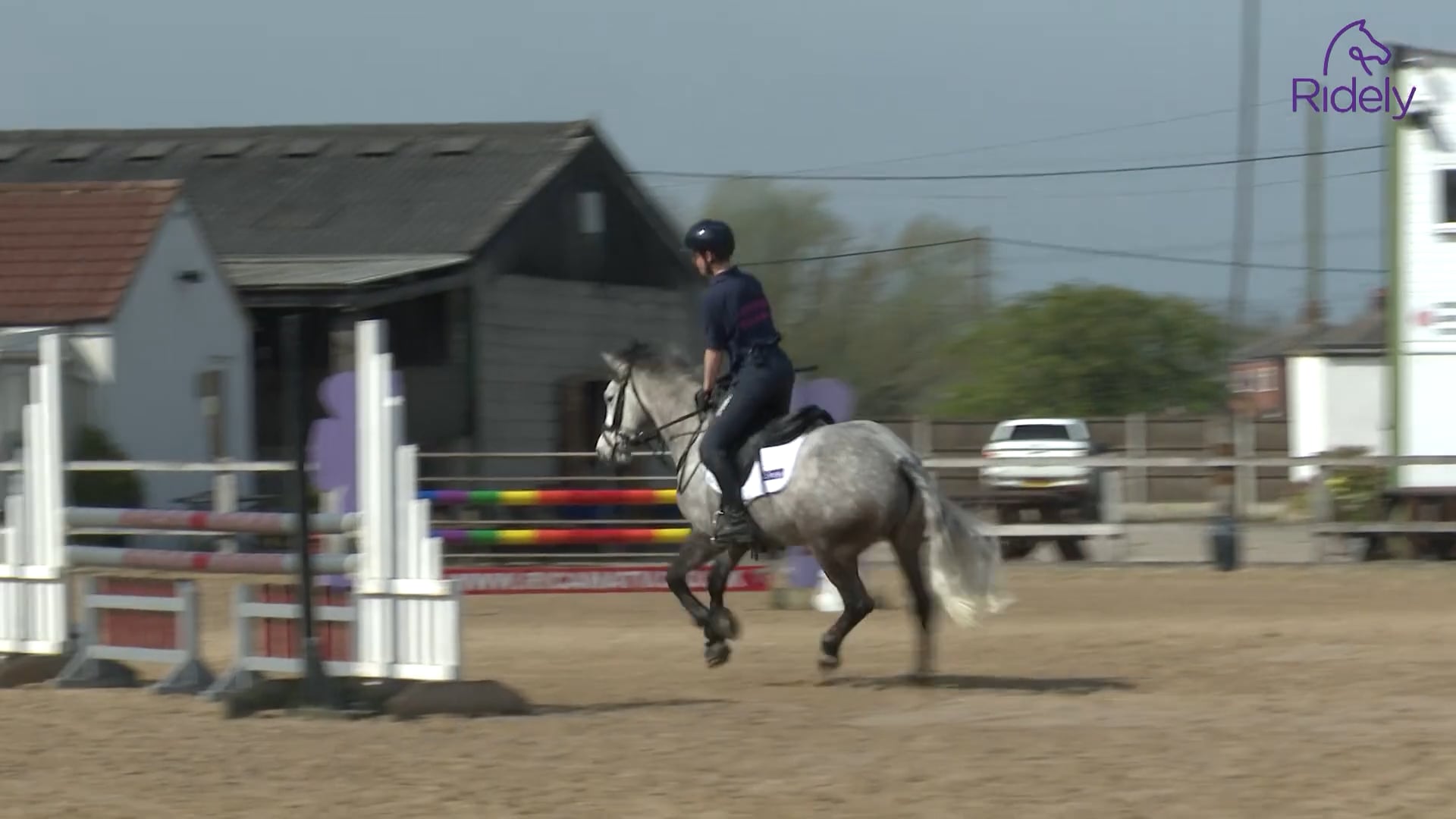 Establishing a Good Canter for Jumping | Ridely