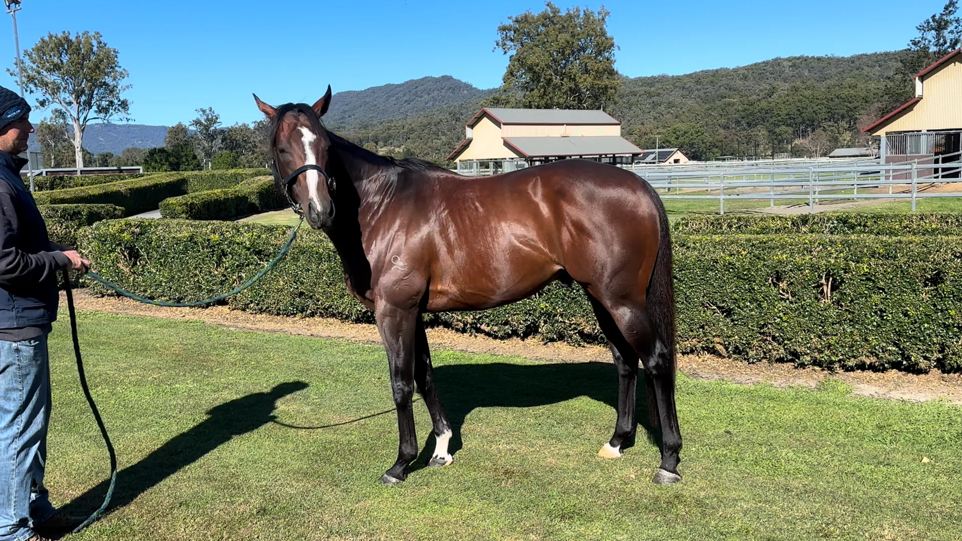 Laws of indices on Vimeo