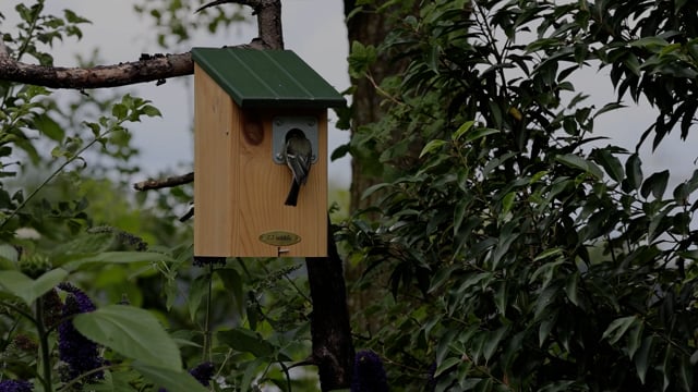 Seattle 32mm Predator Protection Nest Box