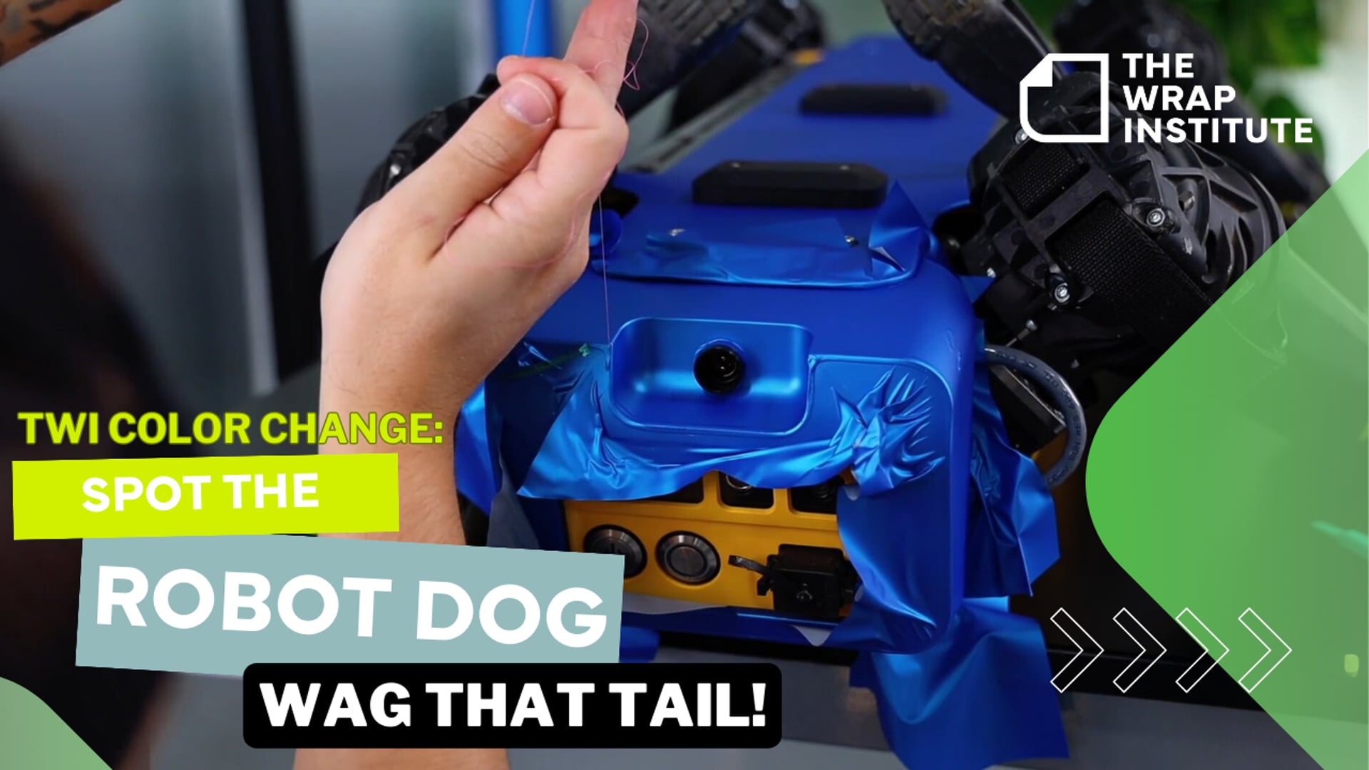 TWI Color Change: Spot the Robot Dog - Wag That Tail! — The Wrap Institute
