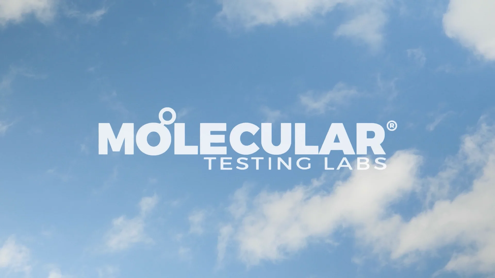 MTL Company Overview Video - June 2024