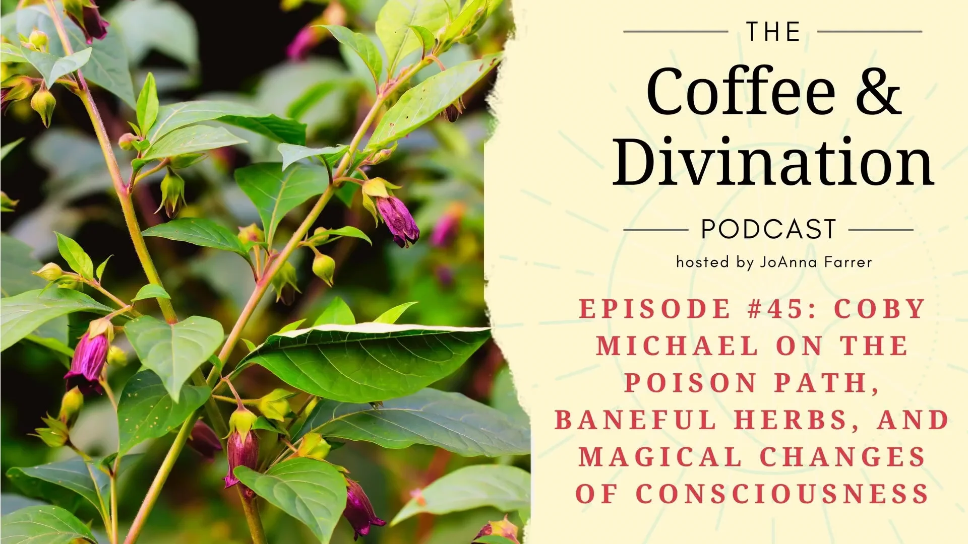 Episode #45: Coby Michael on The Poison Path, Baneful Herbs, and ...