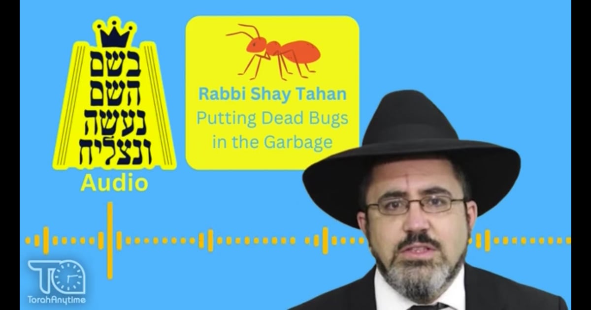 R' Shay Tahan | BHP Daily Halacha - Disposal of Bugs in the Garbage on ...
