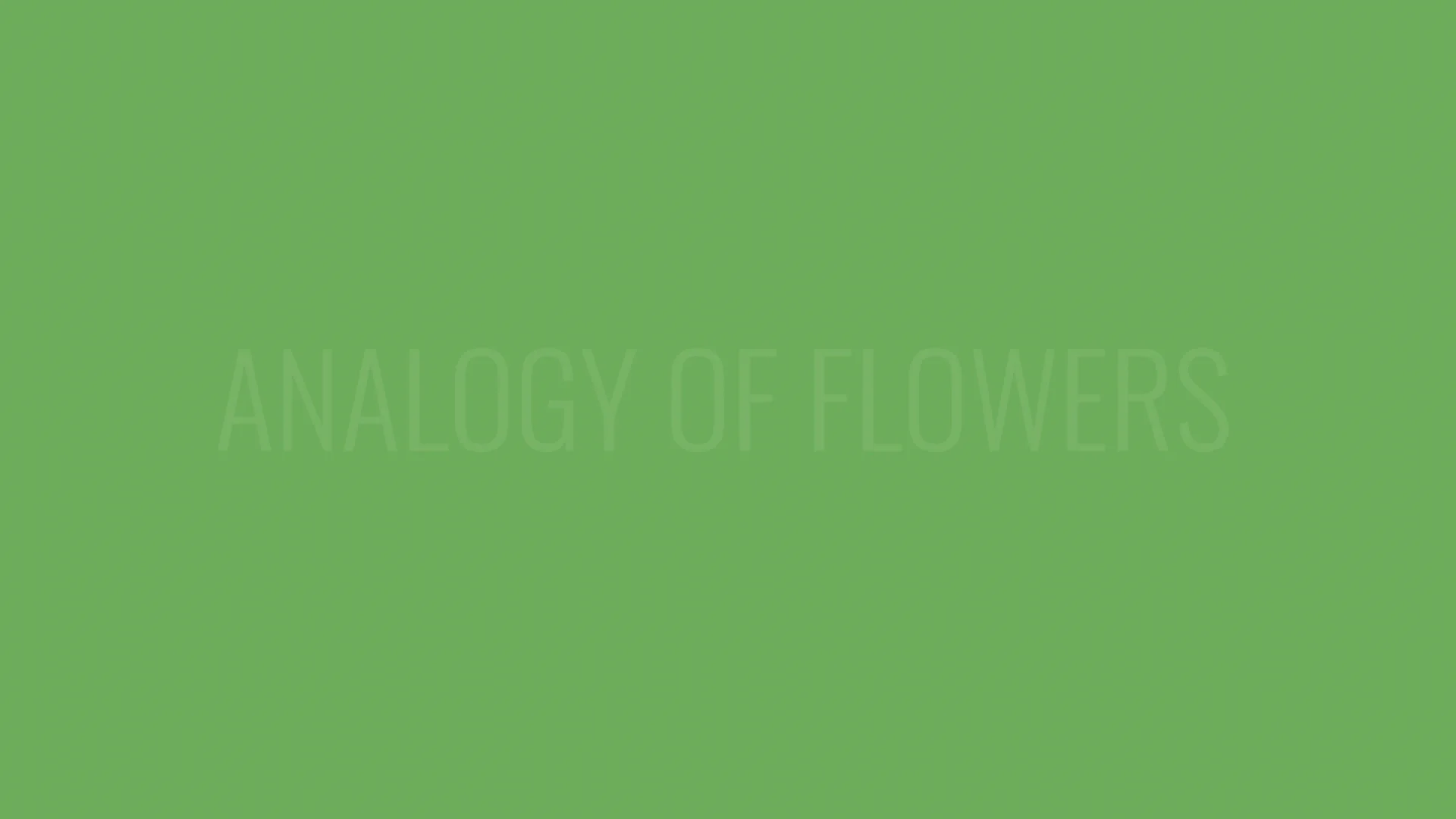 Watch ANALOGY OF FLOWERS Colour & Trend Preview Spring / Summer 2026 ...