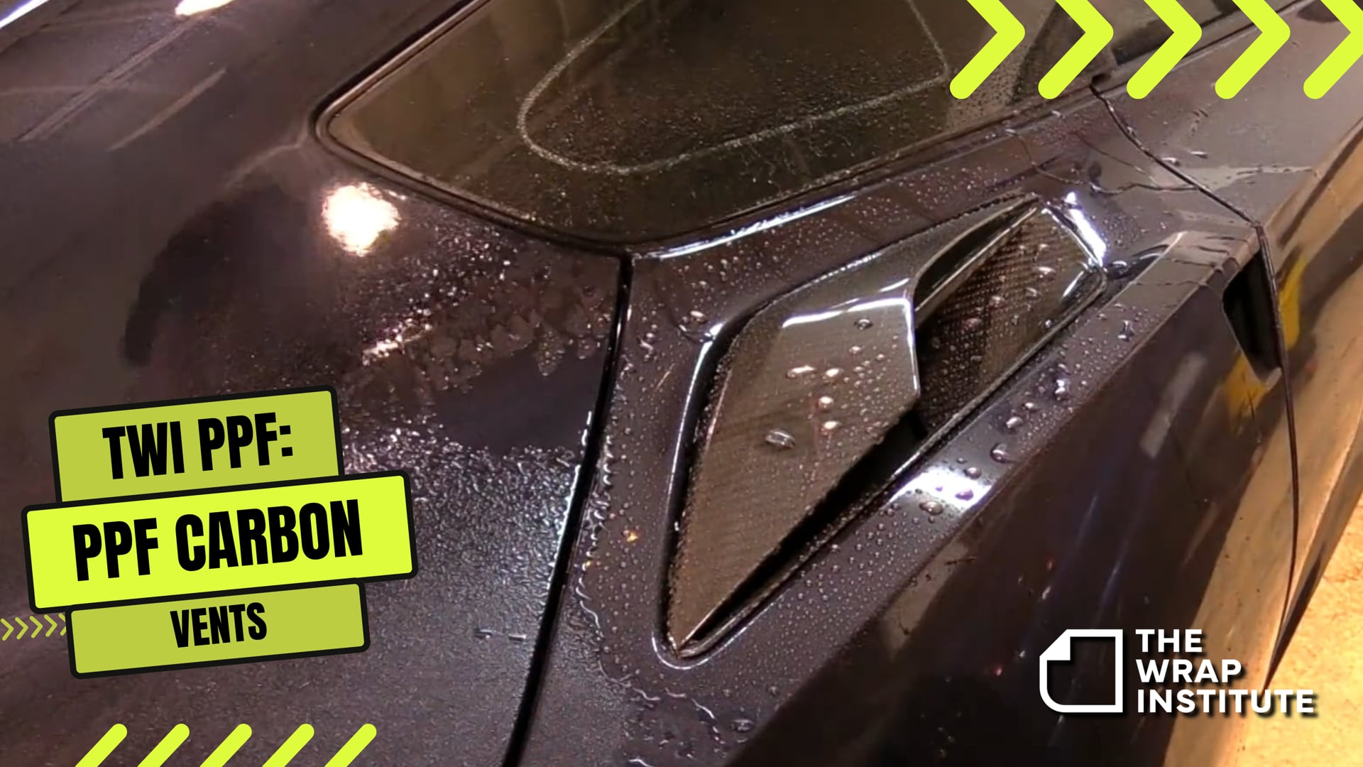TWI PPF: PPF Carbon Vents — The Wrap Institute