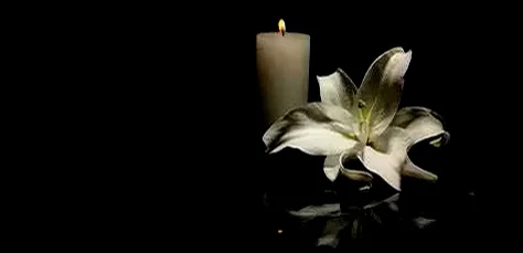 Celebration of Life for Mary Meier