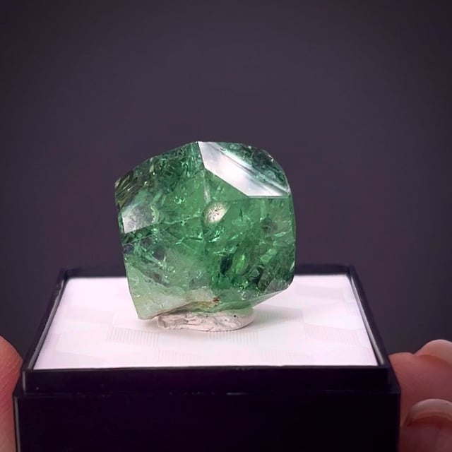 Grossular var. Tsavorite garnet - SCH-2 - Merelani Hills - Tanzania ...