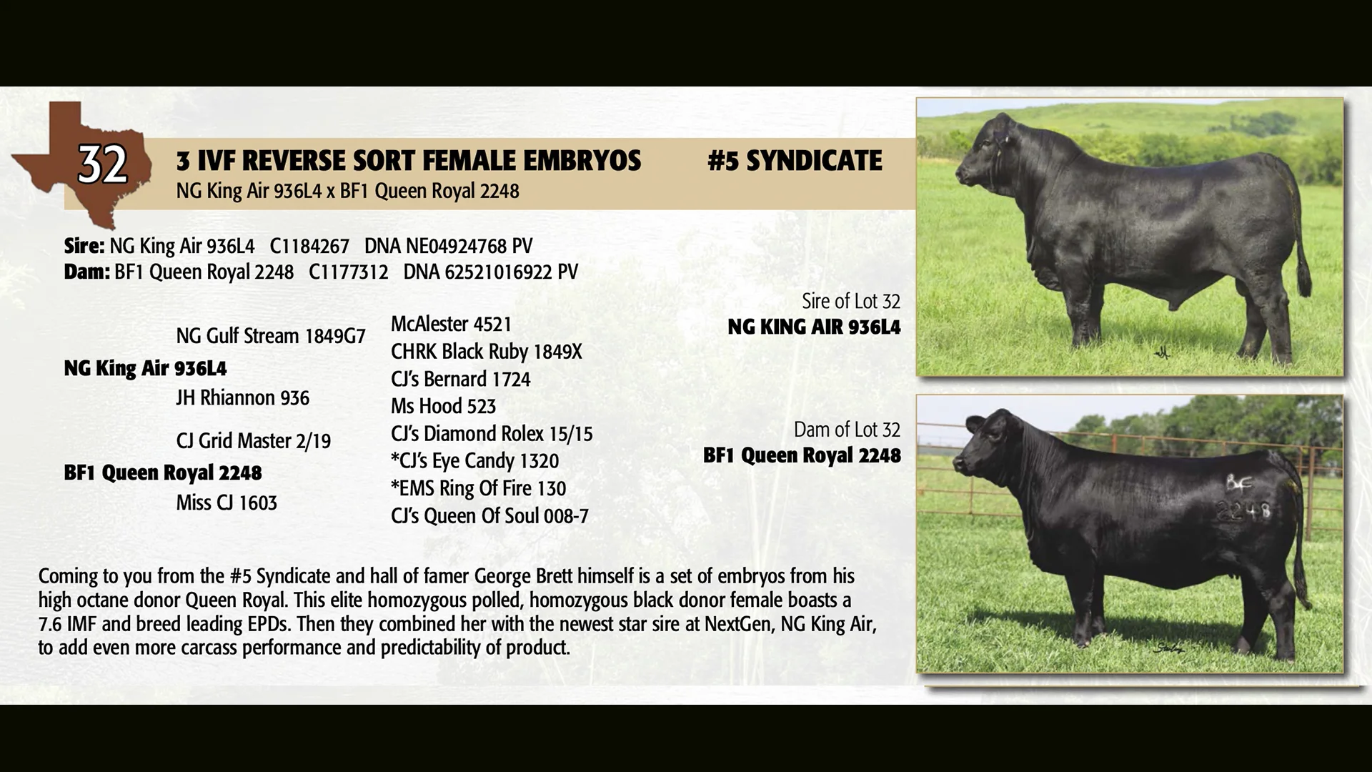 Beefmasters On The Brazos-Lot 32 on Vimeo