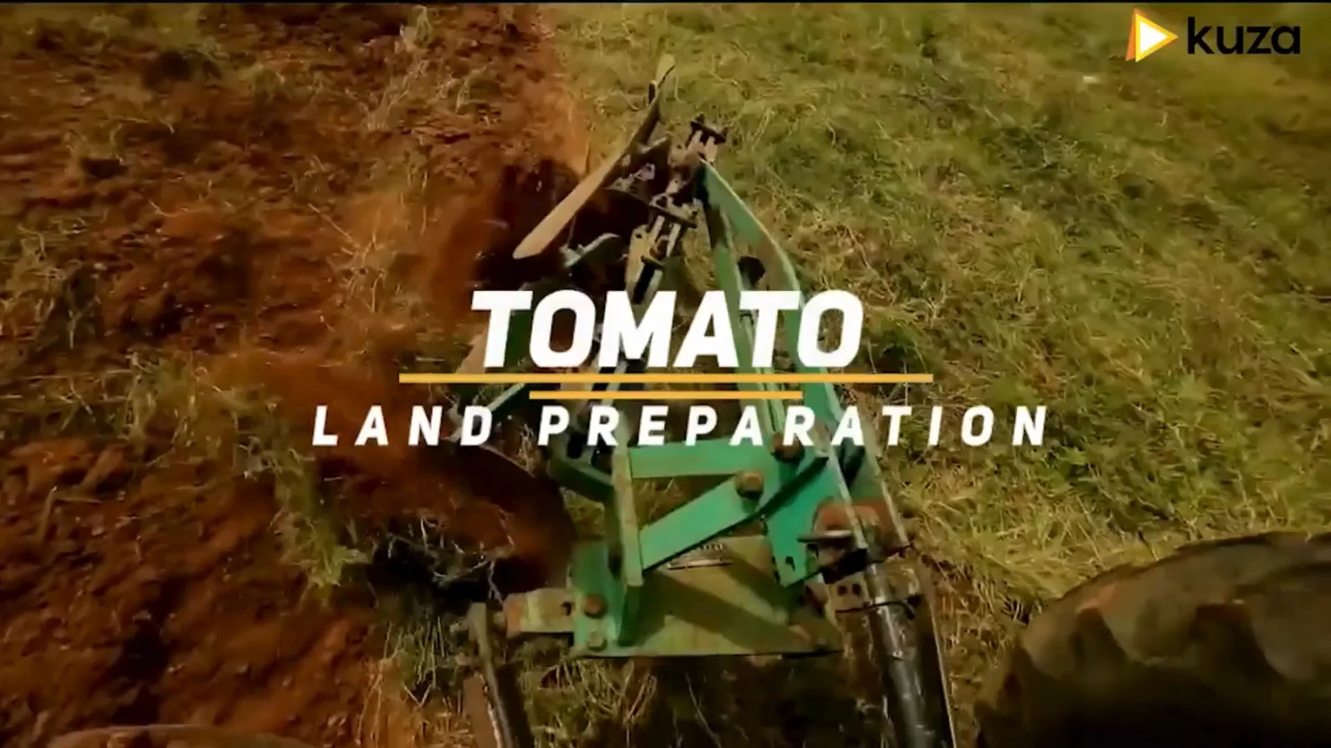 Tomato Land Preparation 2024 (1)