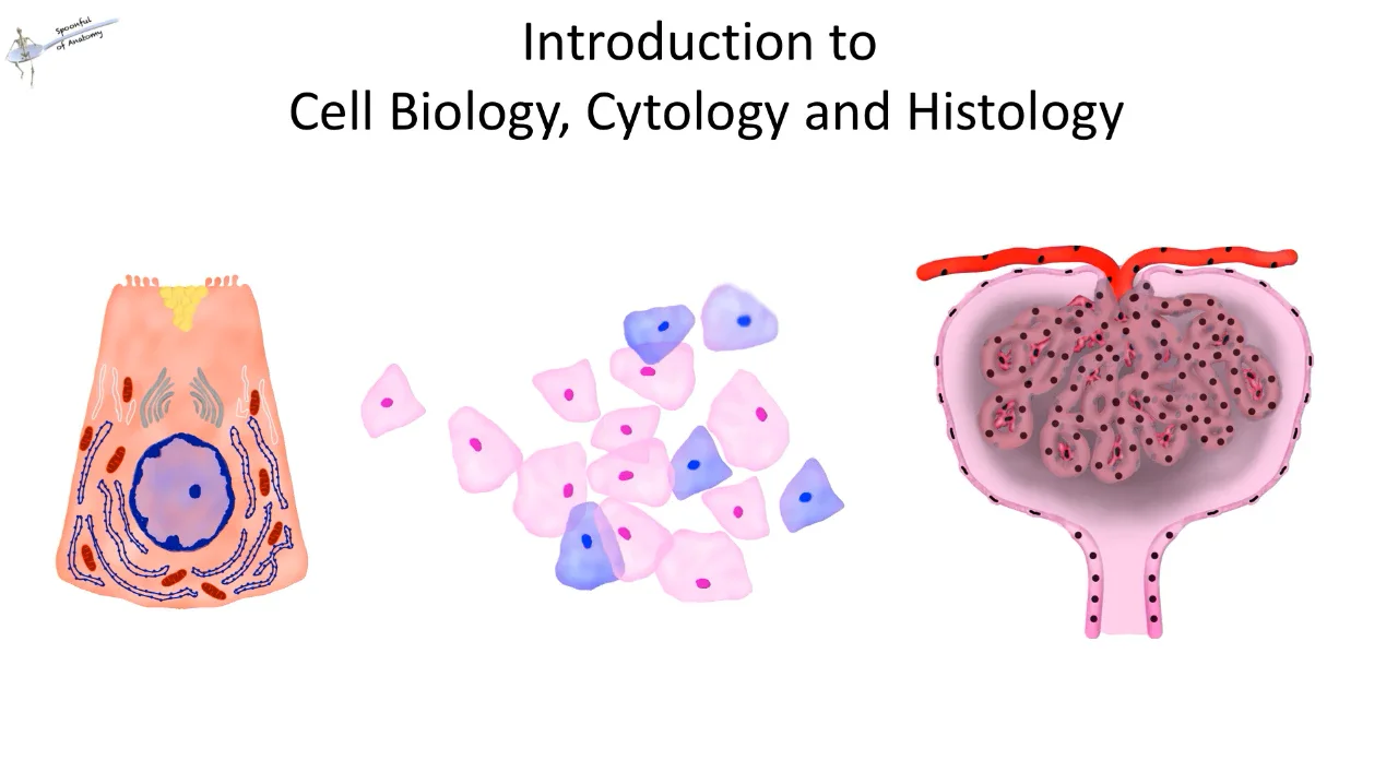 Introduction to Cell Biology, Cytology and Histology.1