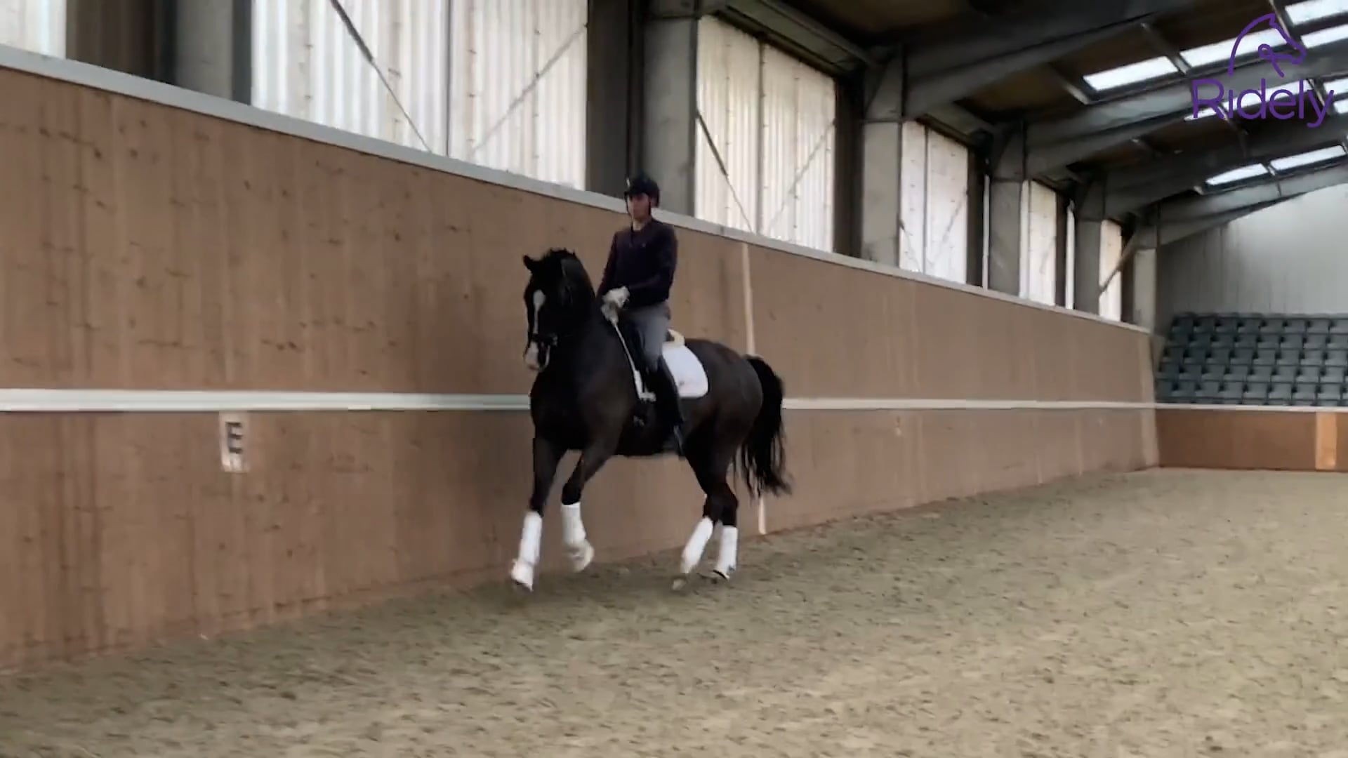 The Canter Half Pass | Ridely