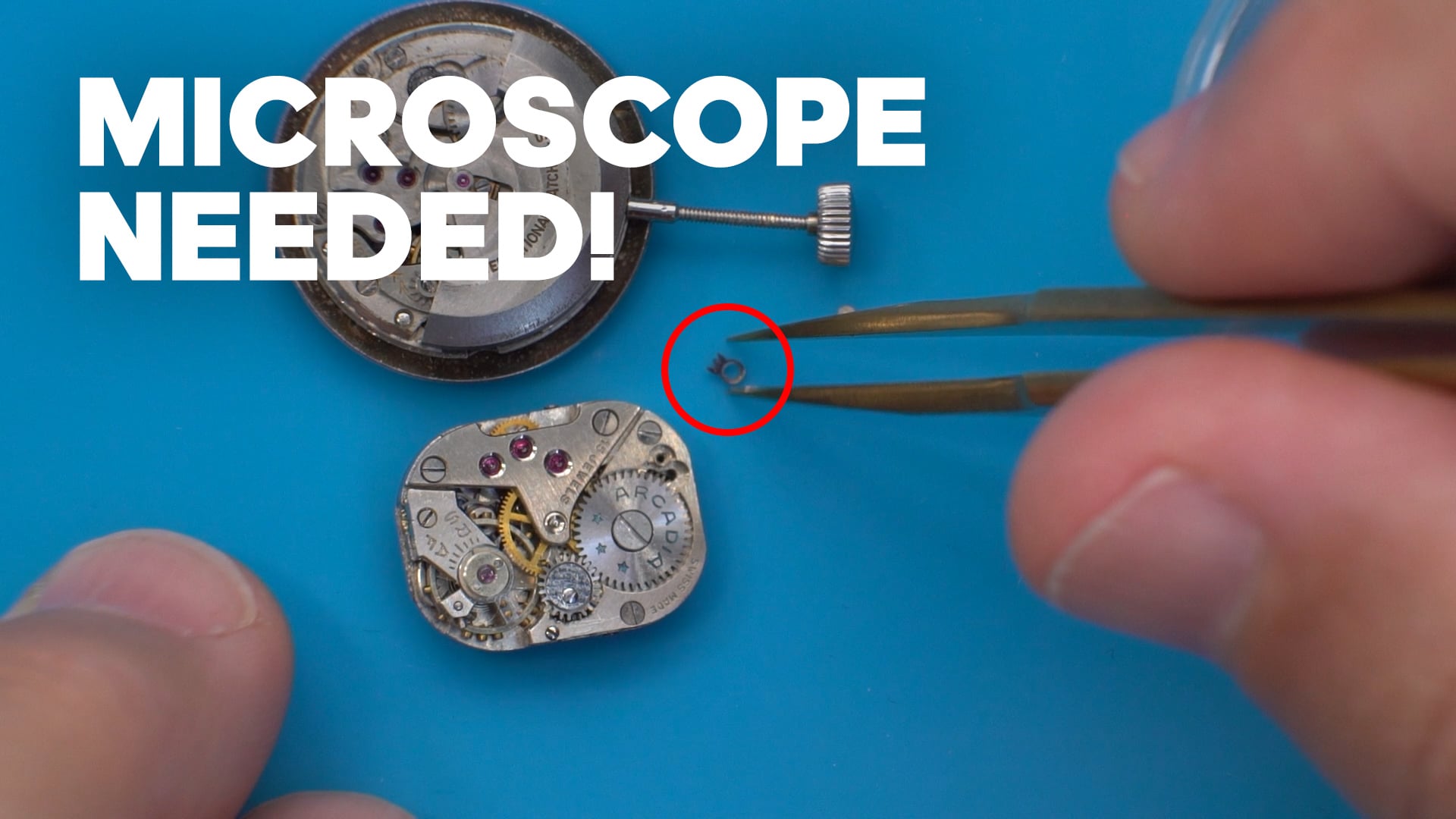 imakewatches.com - Watch Parts Are Tiny Why I Ordered This 500 ...